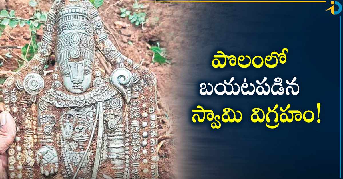 రైతు పొలంలో వెంకటేశ్వర స్వామి విగ్రహం.. చూసేందుకు భారీగా జనం! - iDreamPost